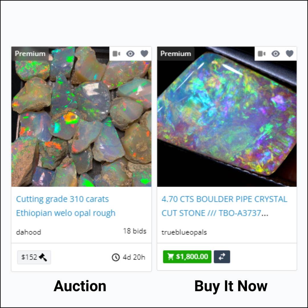 Placing Your First Bid – Opal Auctions